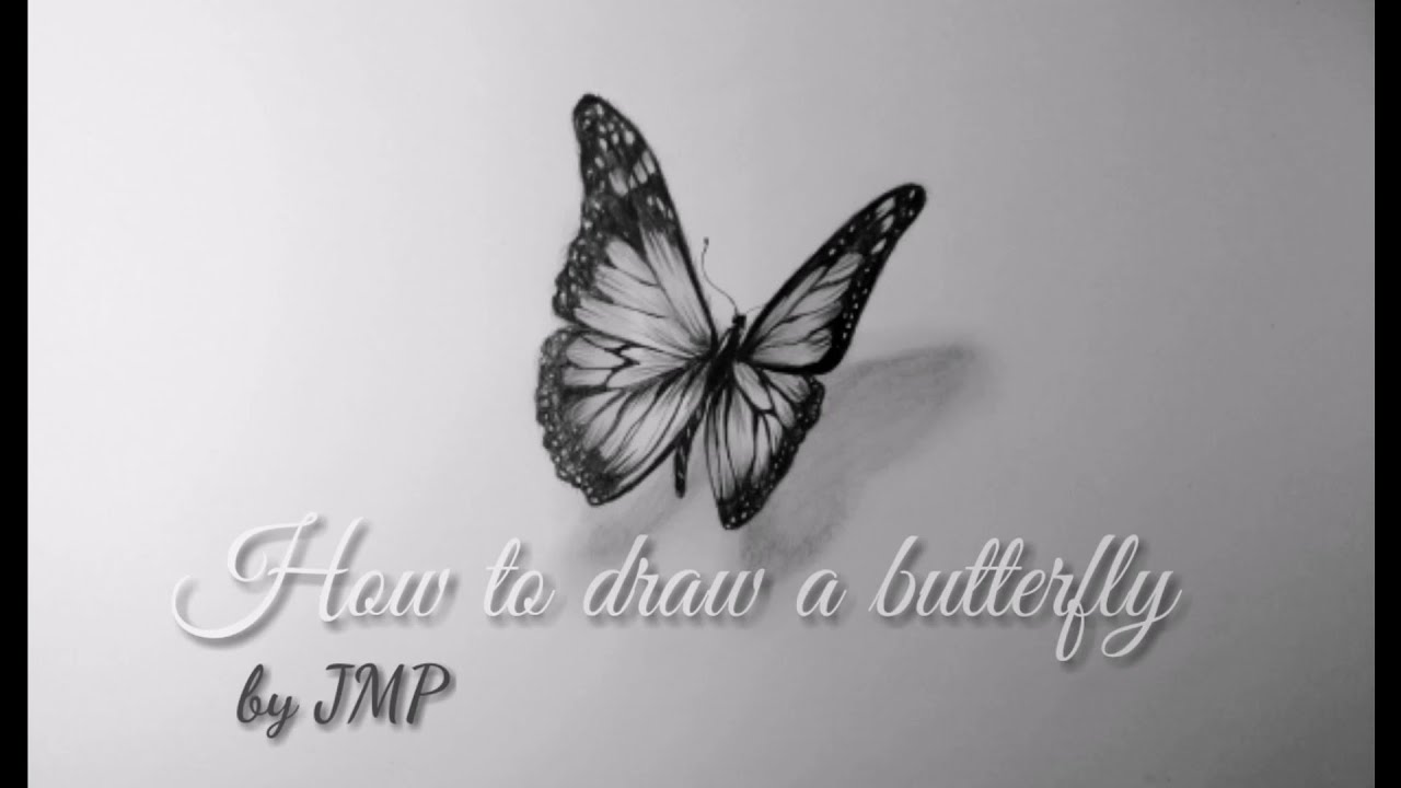 How to draw a butterfly 3D (real-time drawing guide) - YouTube