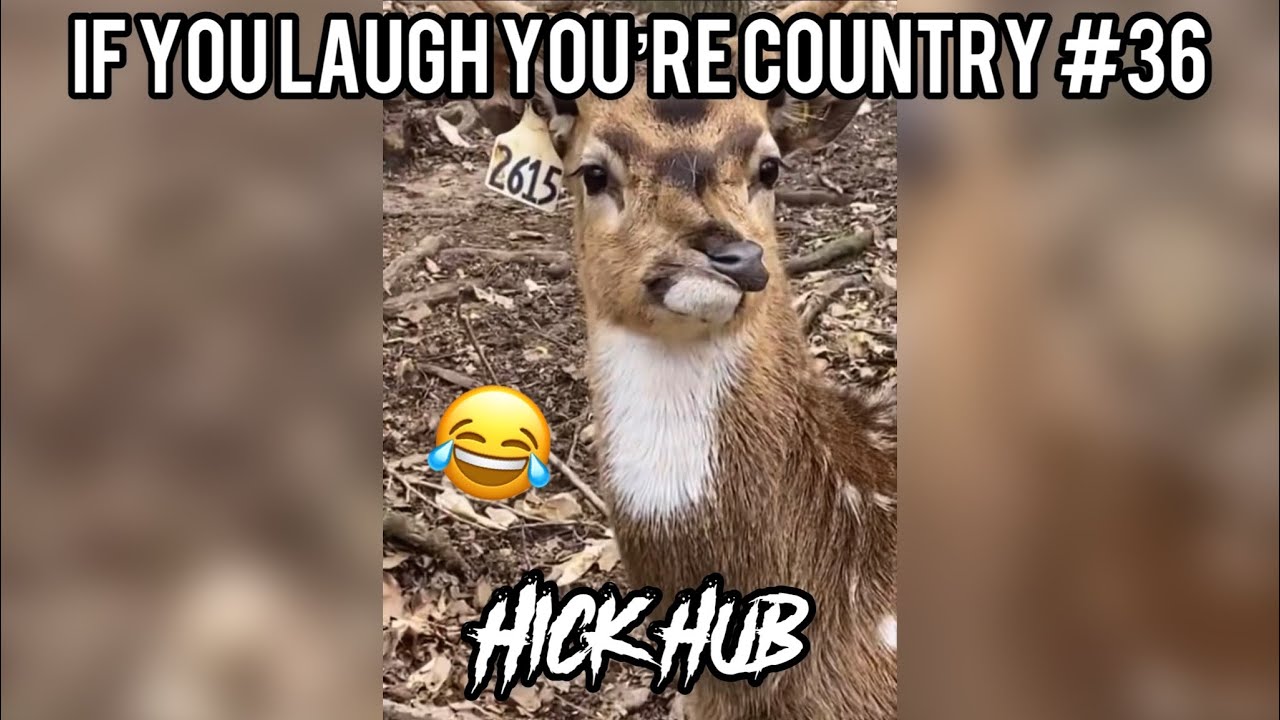IF YOU LAUGH YOU’RE COUNTRY #36 - YouTube