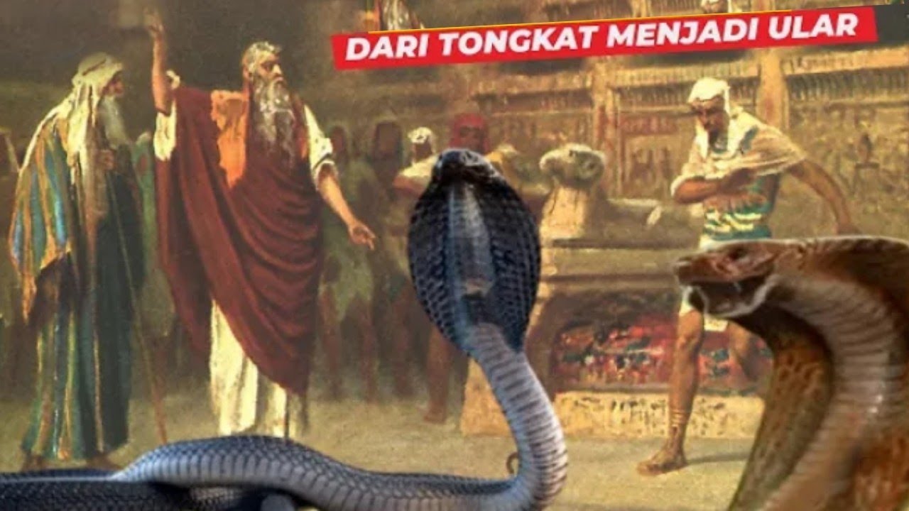 Keistimewaan Tongkat Nabi Musa yang penuh Keajaiban - YouTube