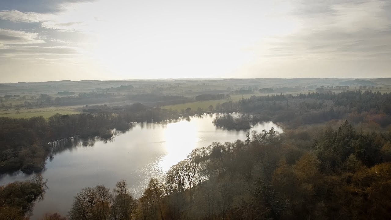 Search for the Beast of Bolam Lake - YouTube