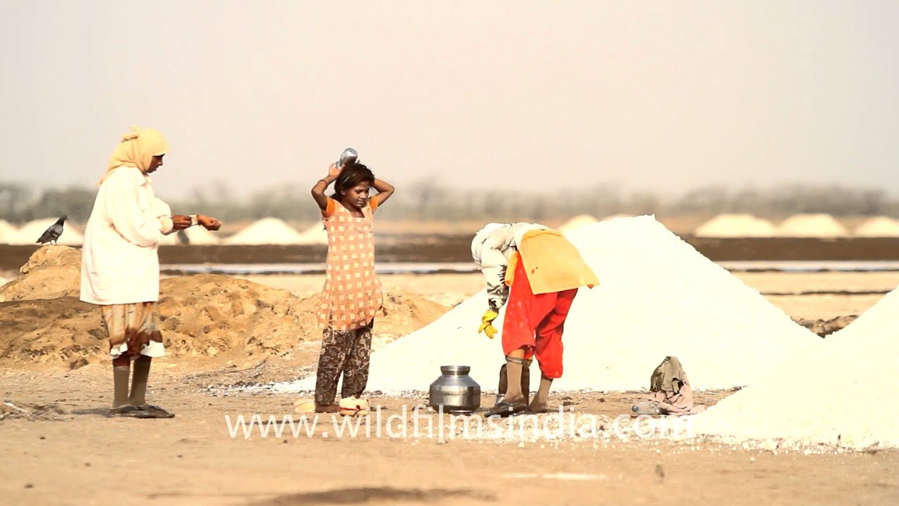 Rann of Kutch - Salt Making Process - YouTube