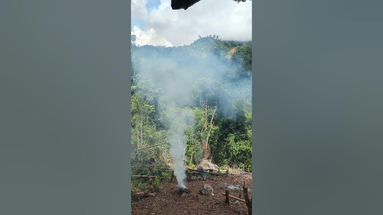 Hari Ke-3 Pembersihan Lahan Sambil Nungguin Durian Jatuh - YouTube