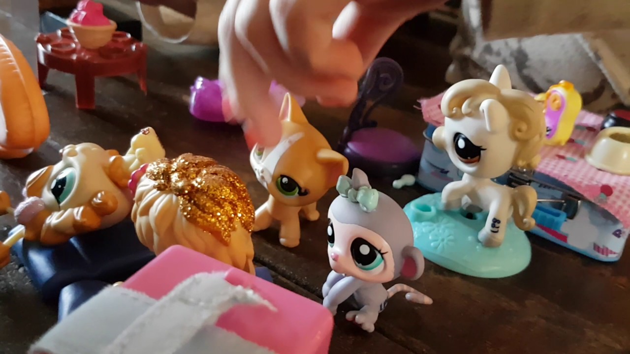 LPS SLEEPOVER - YouTube