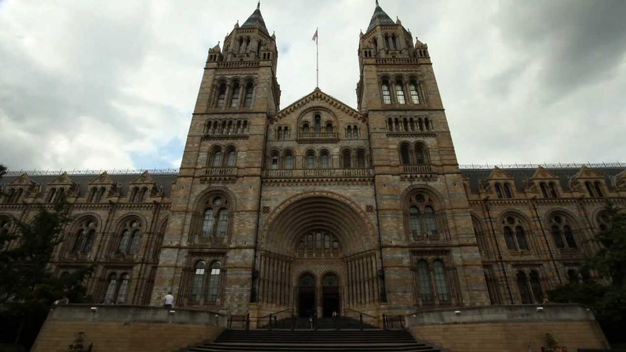 Museum Secrets: Inside the Natural History Museum (Trailer) - YouTube