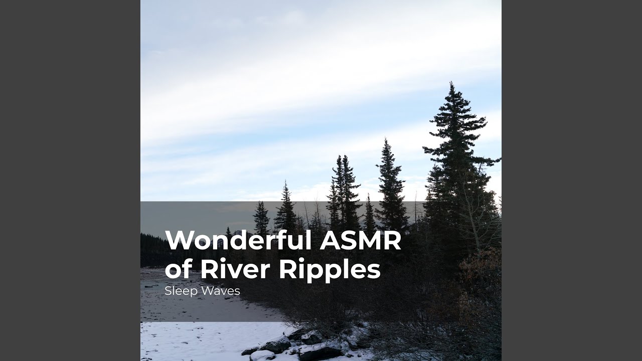 Drowse by the Sea - YouTube Music