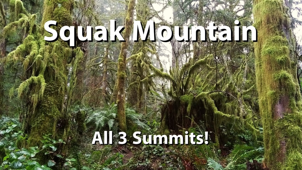 Peakbagging on Squak Mountain - All 3 Squak Mountain Summits! - YouTube