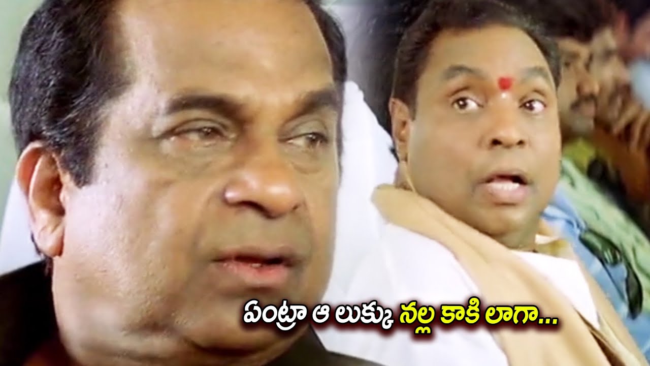 Brahmanandam & Gundu Hanumantha Rao Excellent Comedy Scene | Comedy ...