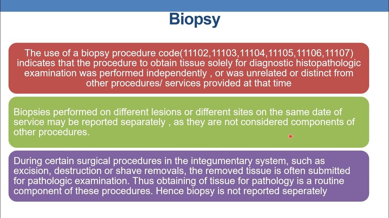 CPT CODING GUIDELINES FOR SURGERY INTEGUMENTARY SYSTEM PART 4 - YouTube
