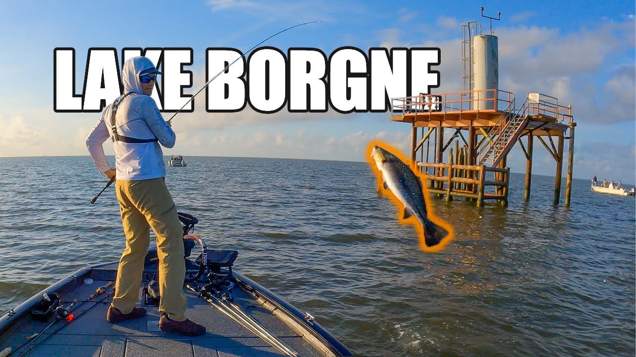 Catching Summer Speckled Trout At Lake Borgne Rigs - YouTube