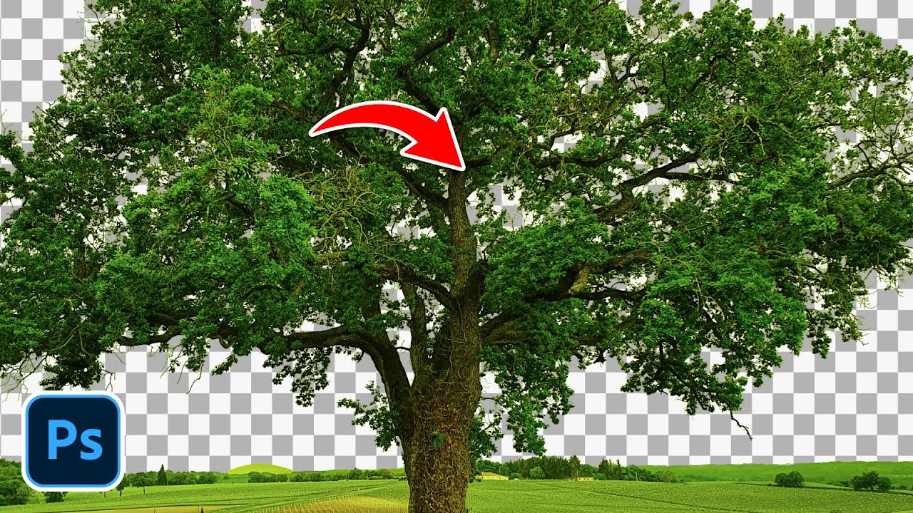 Try this, Remove Tree Background Perfectly using Photoshop - YouTube