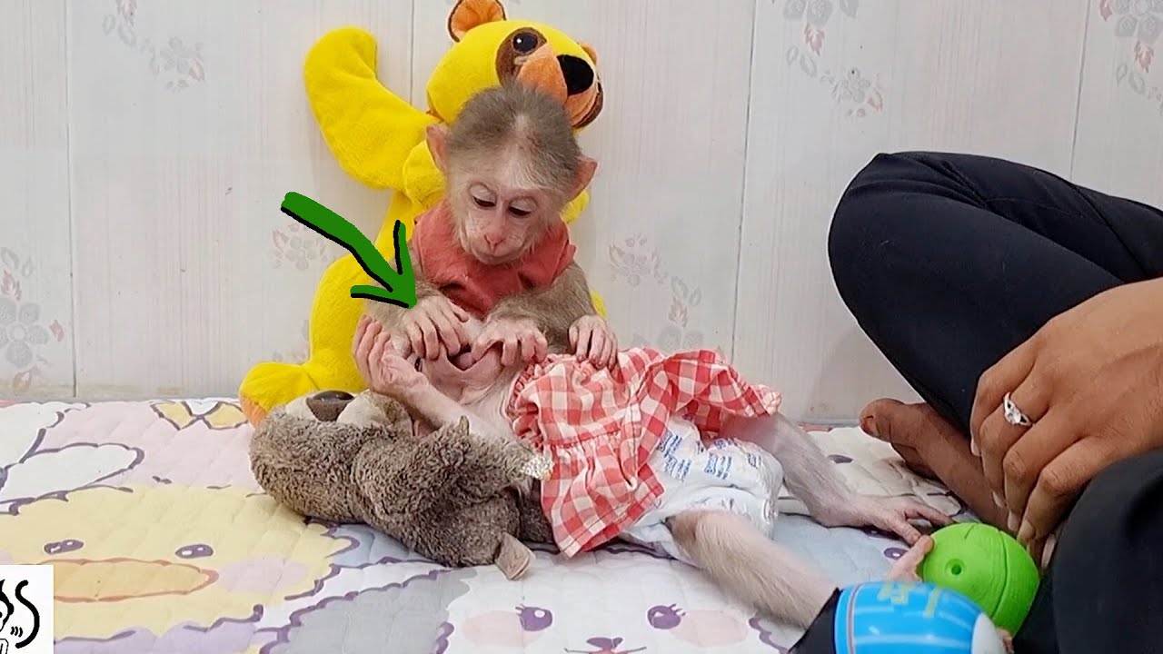 So H@rtfull And Embarasing BeeBoy Carefully Checking Ken Teeth - YouTube