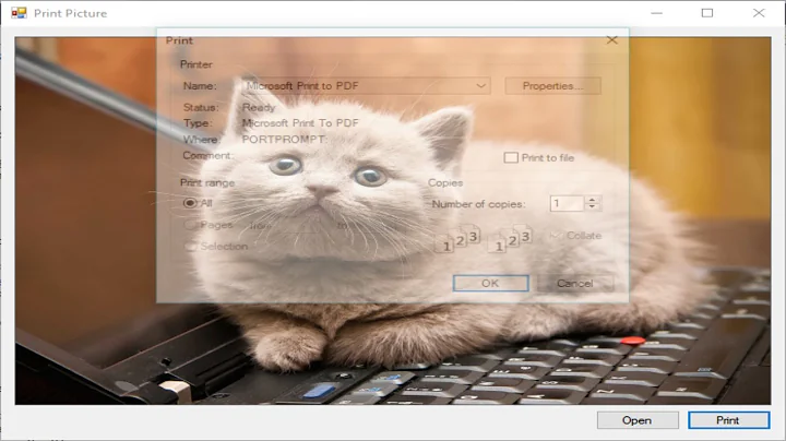 Solved Command Line Tool For Print Picture 9to5Answer solved-command-line-tool-for-print-picture-9to5answer