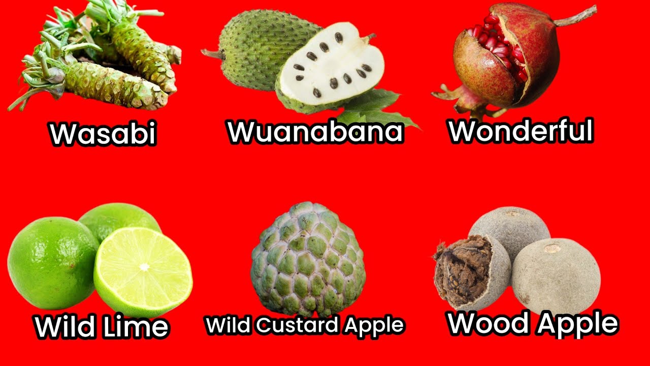 NOMBRES DE FRUTAS QUE EMPIEZAN CON LA LETRA W 🍓🫒🍐 - YouTube