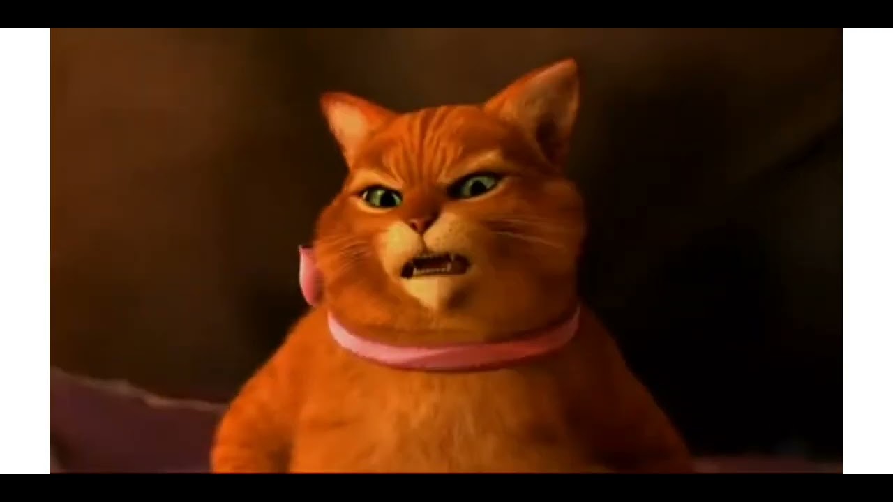 Shrek/Shrek 2/Shrek The Third/Shrek Forever After/Madagascar/Madagascar ...