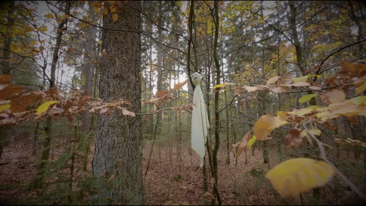 Follow Me into a Spooky German Forest! - YouTube