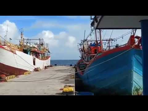 PPN. Tual - YouTube