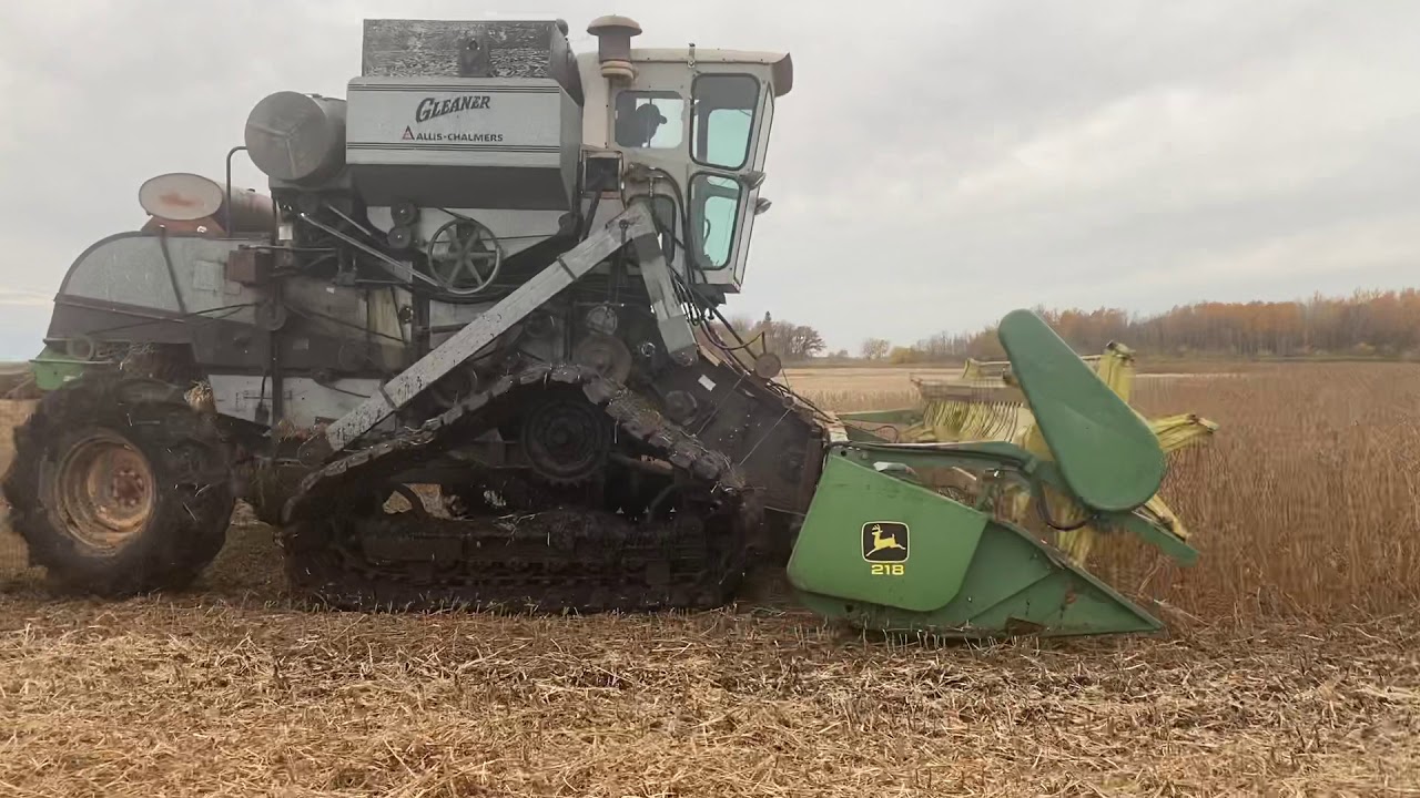 Gleaner C2 combine Muddy harvest 2 - YouTube