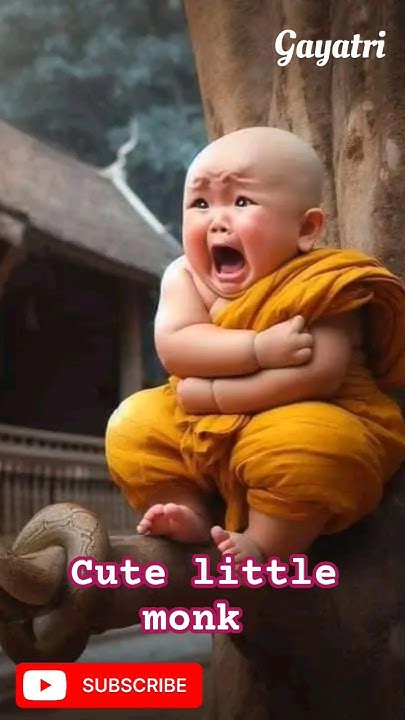 so cute little monk, little monk so cute,#shorts ,#viral #music #song ...
