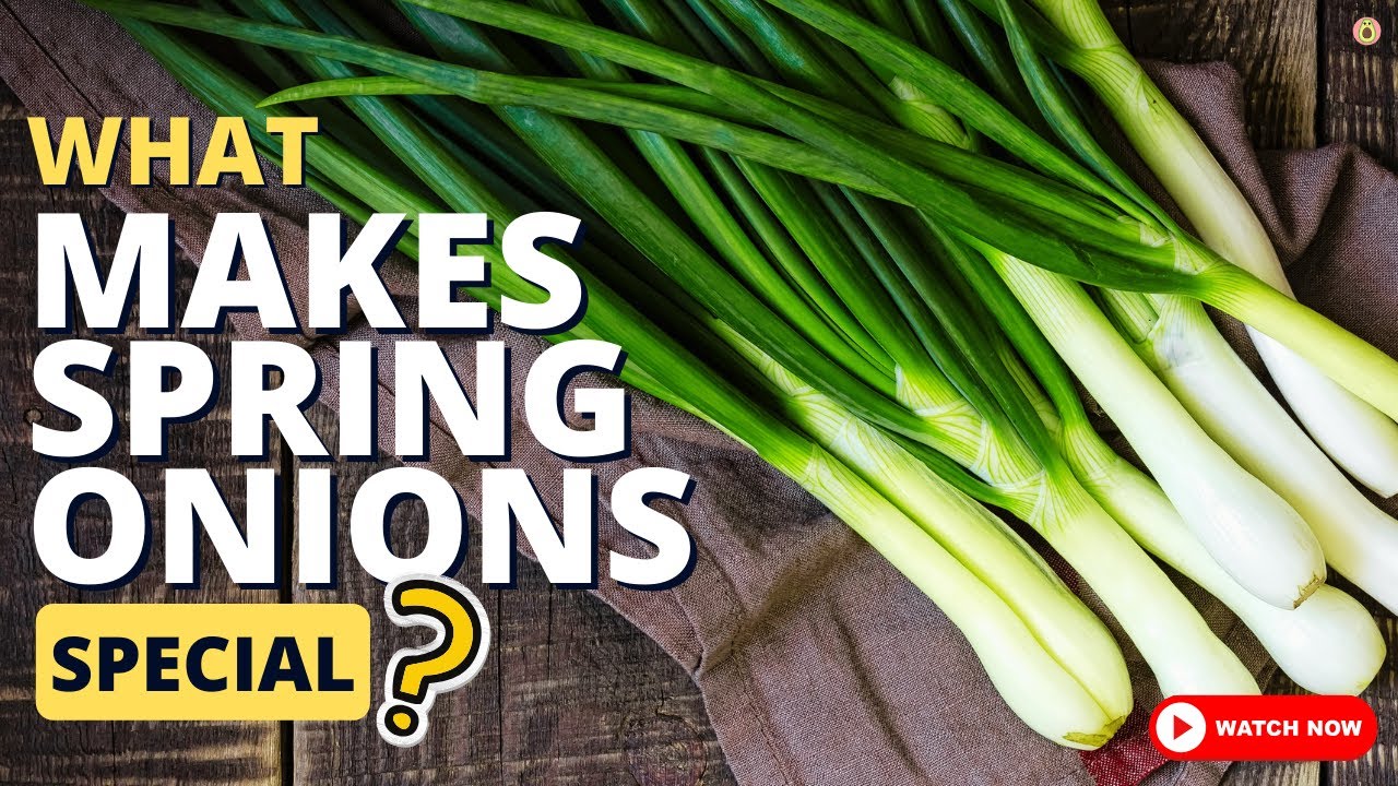 Nature's Pharmacy: Health Benefits You Didn't Know About Spring Onions ...