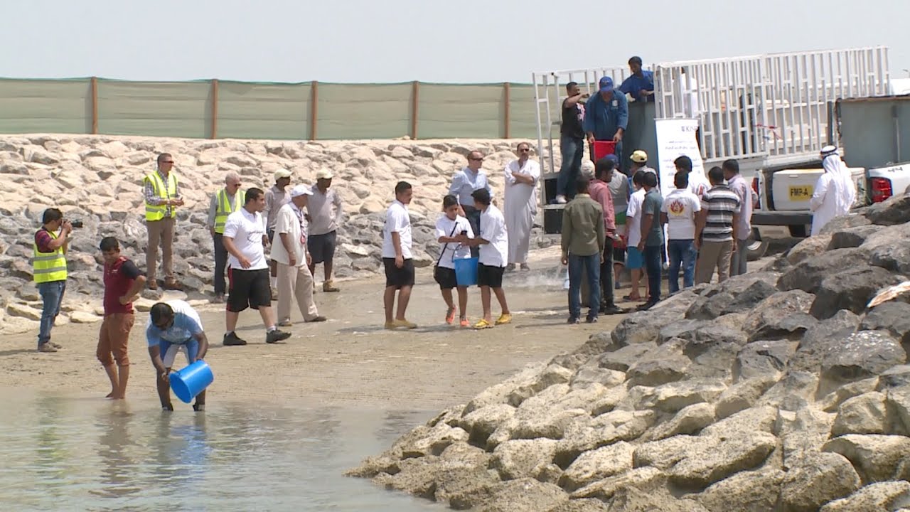 Fish Release | Sabah Al Ahmad Sea City - YouTube