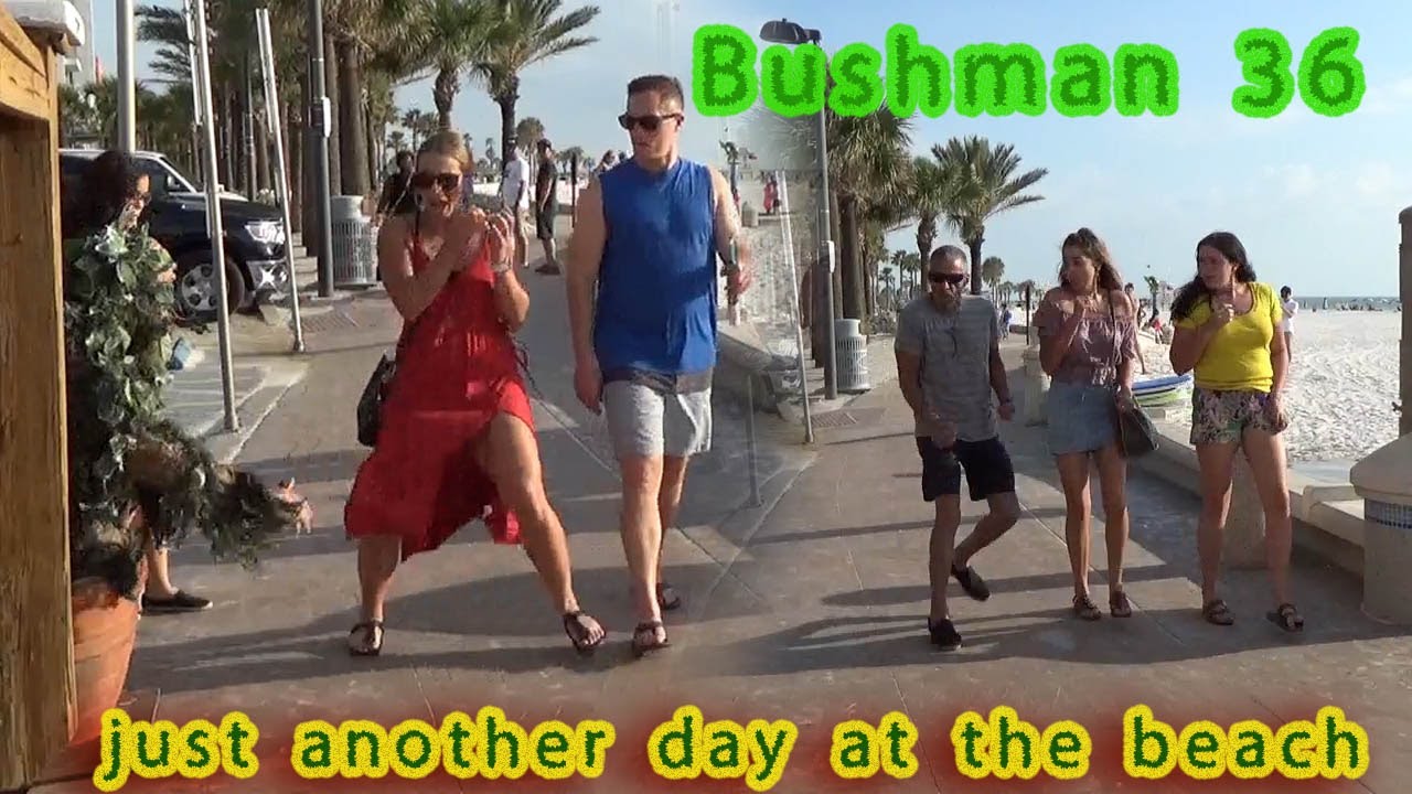 bushman 36 movie just another day at the beach. some great reactions ...