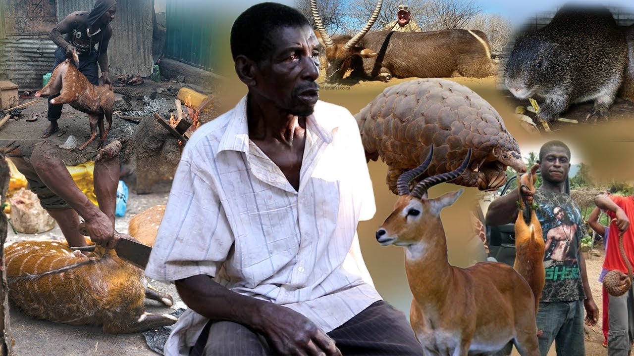 Sc@ry! Hunter Narrates Mysterious Giant Man Walking in the Forest at ...