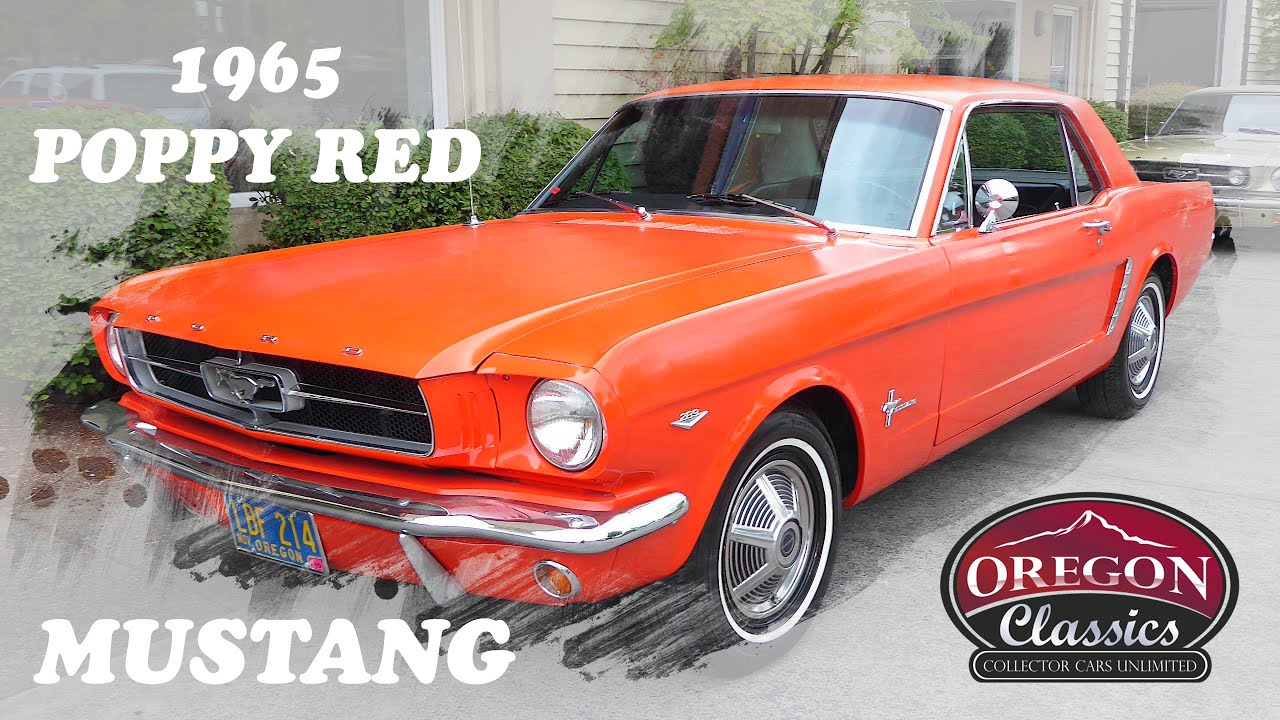 1965 FORD MUSTANG COUPE POPPY RED - YouTube