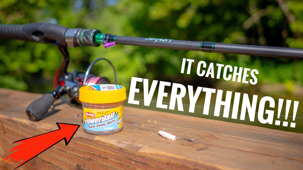 FISHING CHALLENGE with ONE BAIT!!! - YouTube