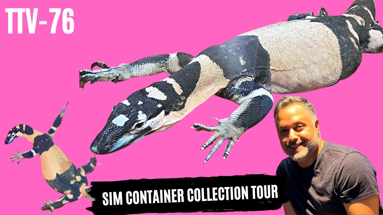 Insane Monitor collection tour | Bells Phase Lace Monitors | Dwarf ...