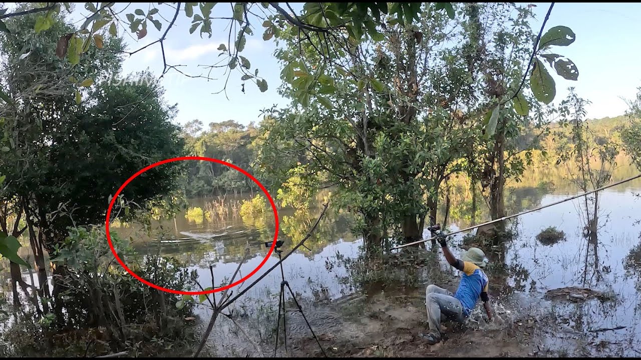 លើកទី១អុកគូត វាត់ឆ្ដោ Funny Snakehead Fishing - YouTube