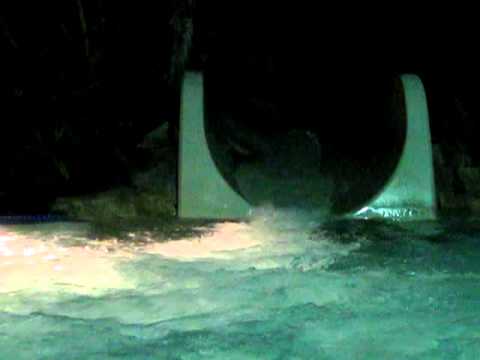 Pool Slide at Hard Rock Universal Orlando - YouTube