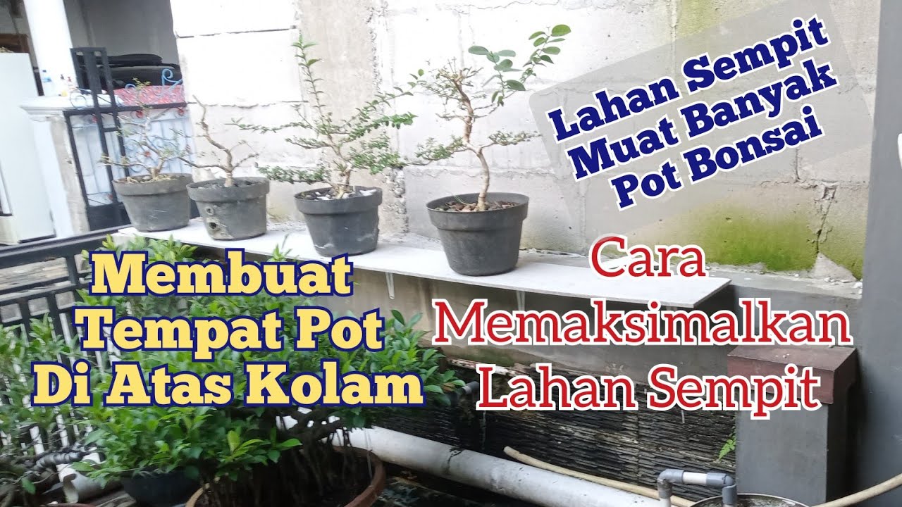 Membuat Tempat Pot di Atas Kolam Ikan, Cara Memaksimalkan Lahan Sempit ...