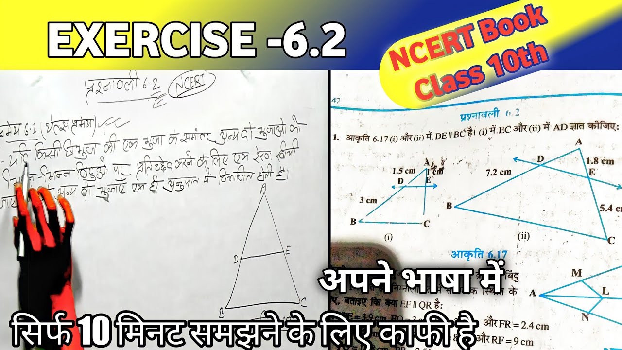 class 10 math exercise 6.2 | class 10 ex 6.2 | class 10 math chapter 6 ...