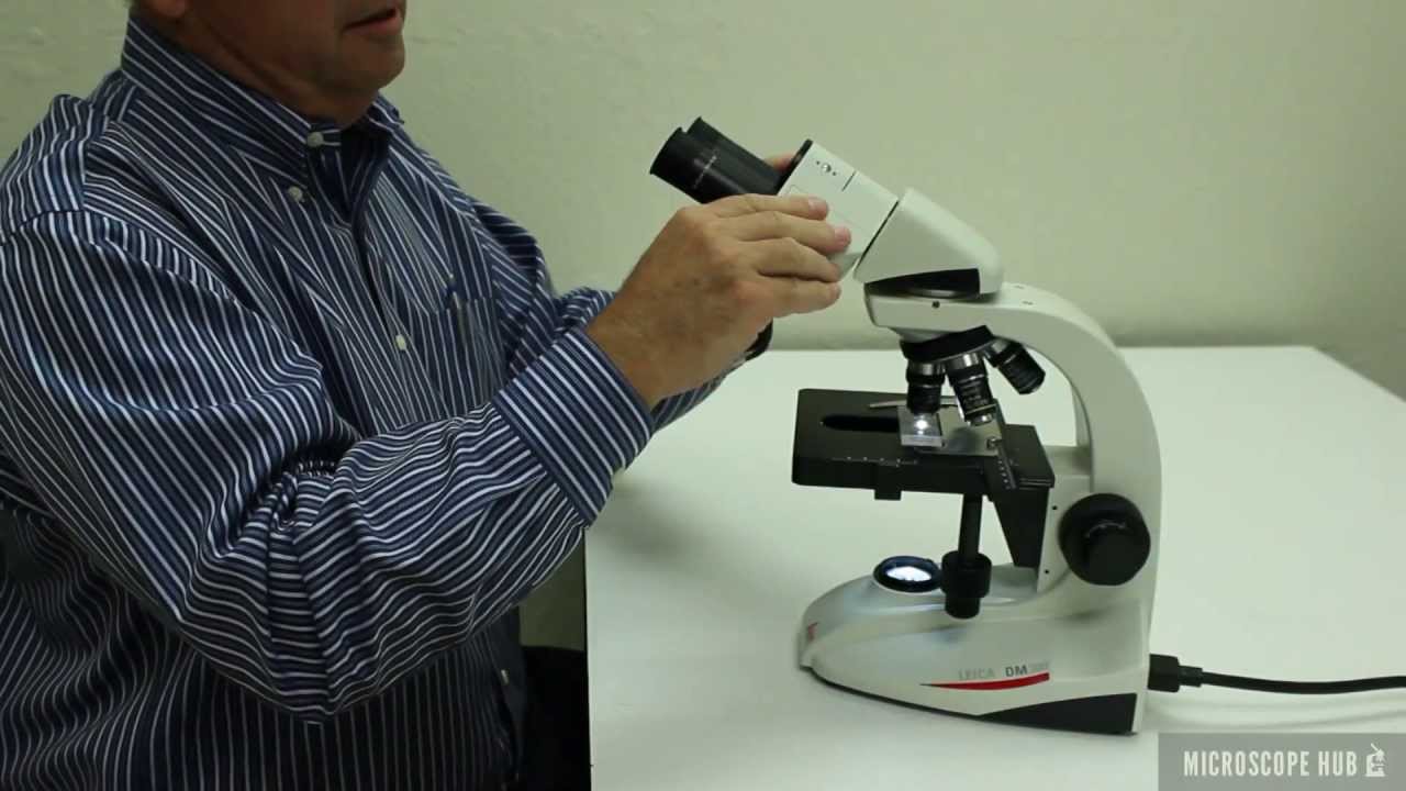 DM300 Educational Compound Microscope - Rotating "Viewing Tube" Feature ...