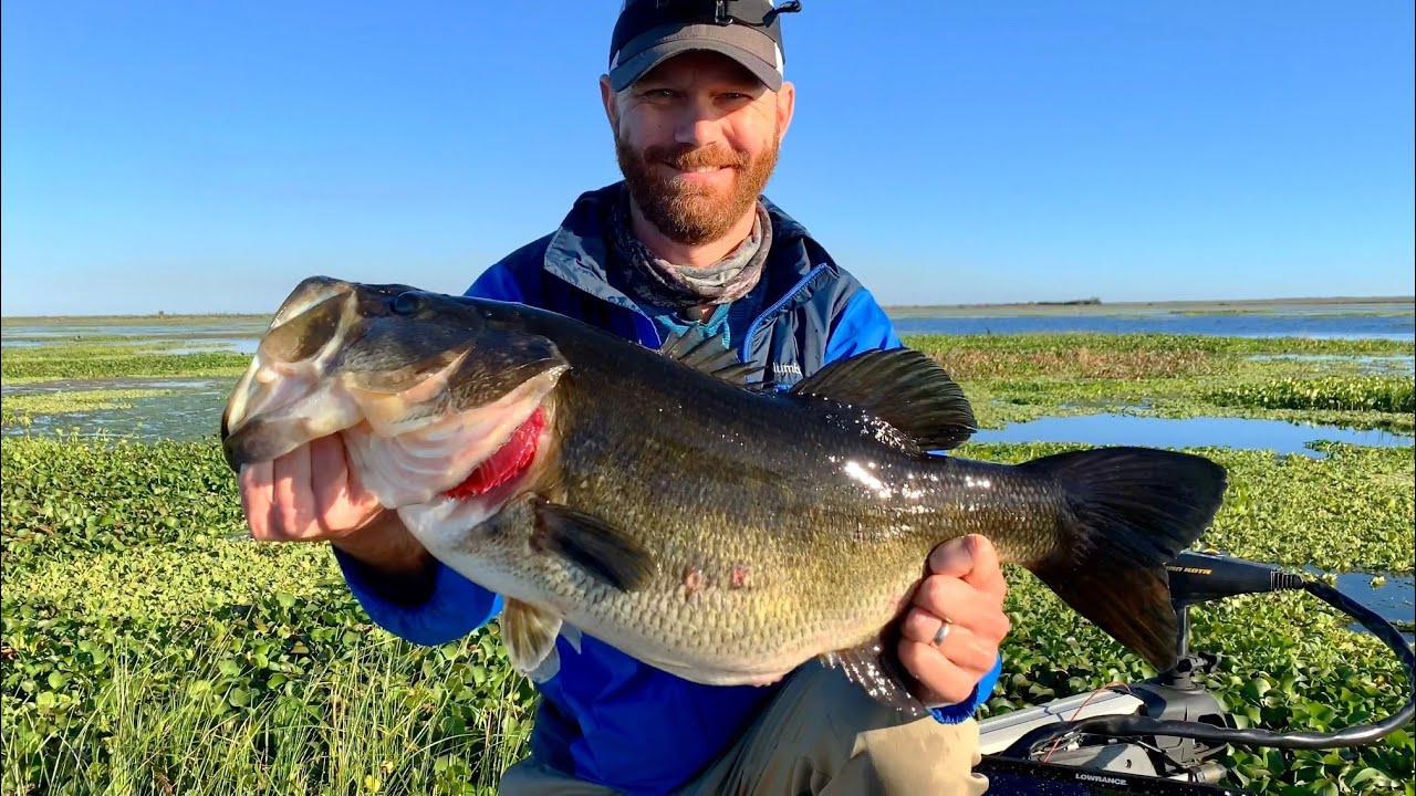 Bass Fishing - Catching a True Giant Deep in the Swamp - YouTube