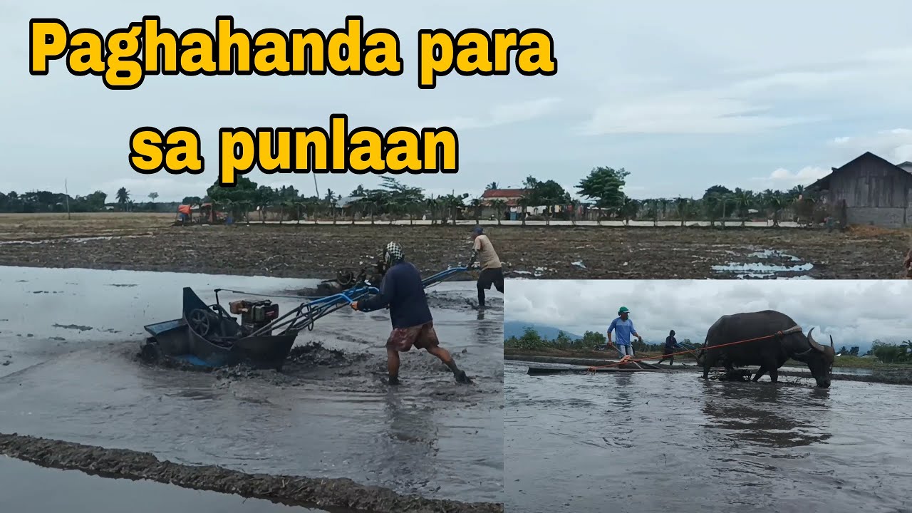 Paghahanda para sa ating punlaan , pag traktor at pag levelling ng lupa ...