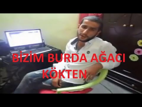 Dj Dikkat - Bizim Burda Ağacı Kökten