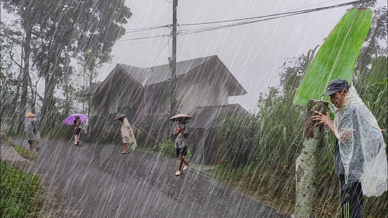 Super heavy rain thunder and strong wind hit villages, walking in heavy ...
