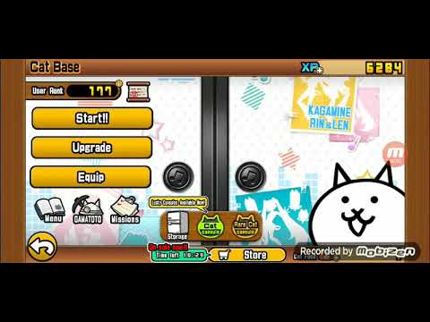 Unknown cat showcase - YouTube