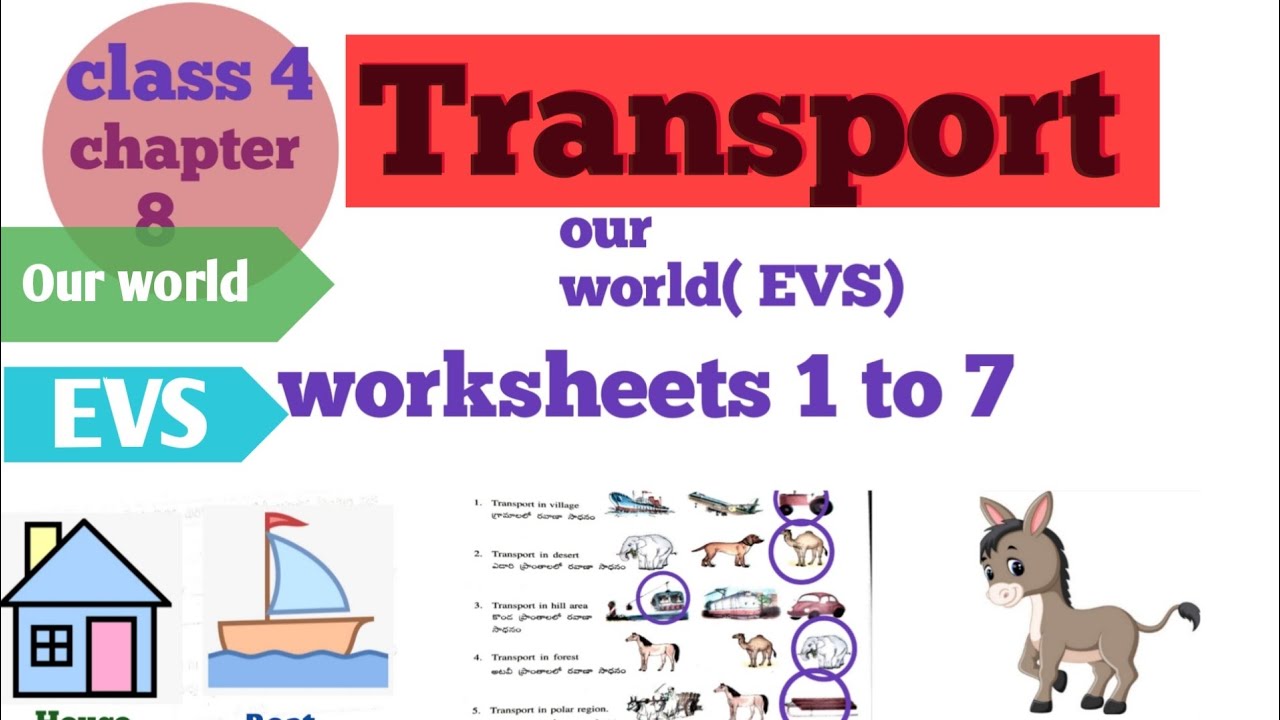 Transport|| Class4|| Our world||Transport workbook in English||DSC||tet ...