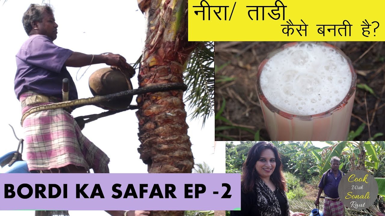 Making of Neera / Toddy At Bordi Village | ताड़ी /नीरा कैसे बनती है ...