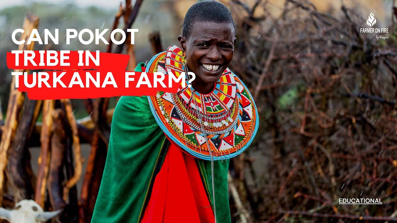 TURKANA FARMING PROJECT- Agribusiness - YouTube