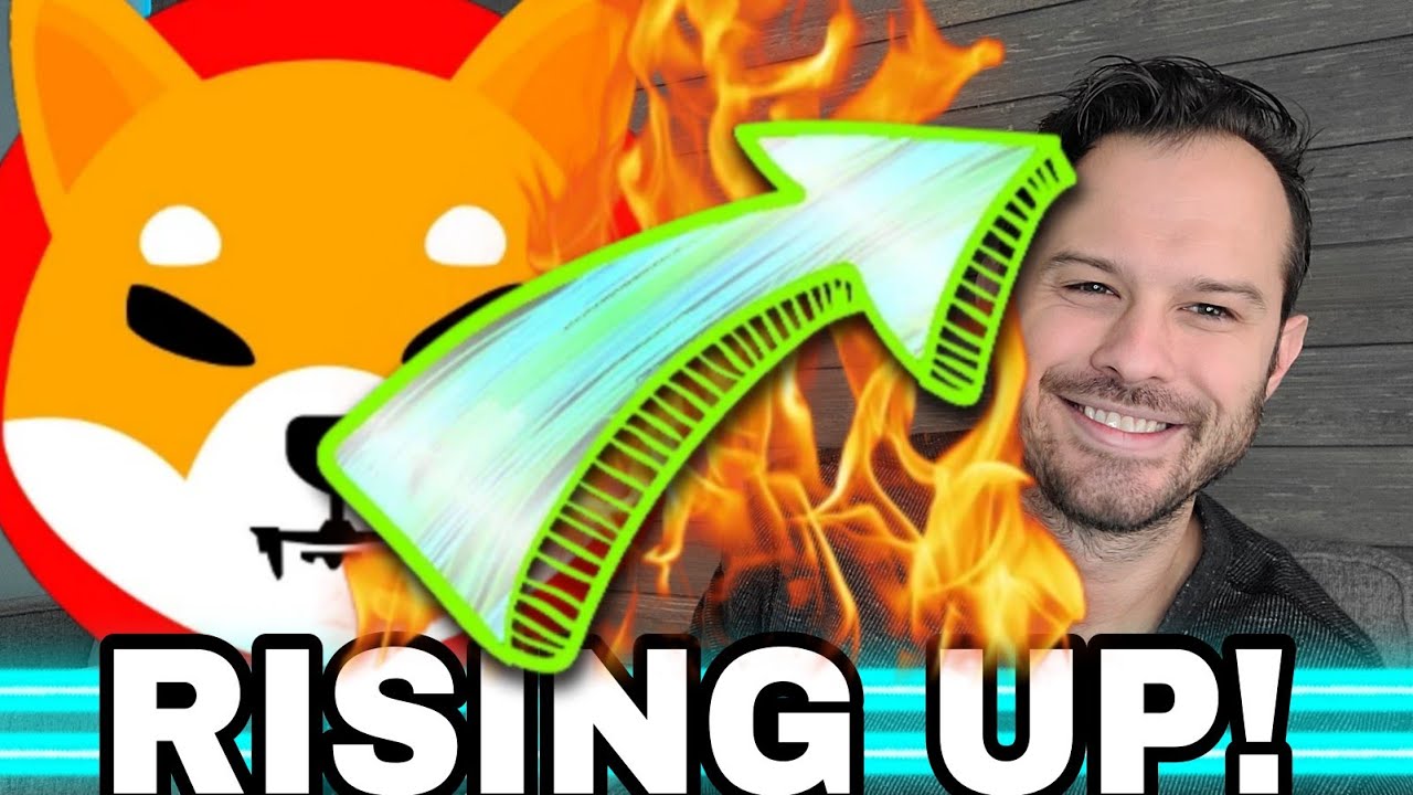 Shiba Inu Coin | SHIB Burns Rising Into Bull Market Frenzy - YouTube