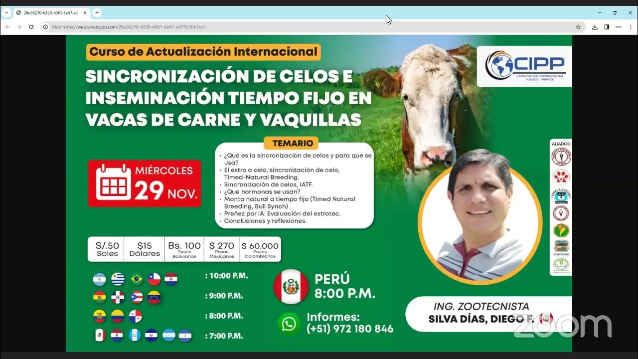 SINCRONIZACIÓN DE CELOS E INSEMINACIÓN TIEMPO FIJO EN VACAS DE CARNE Y VAQUILLAS - YouTube