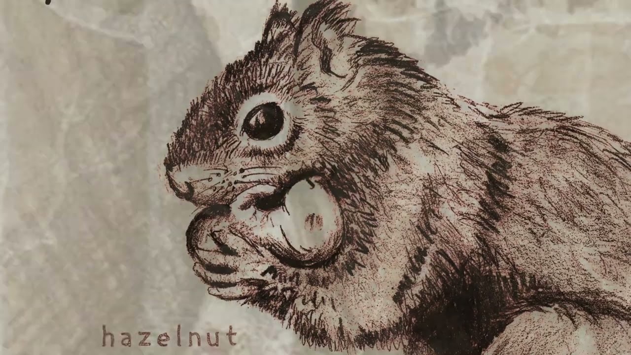Squirrel Butter "Hazelnut" CD (Official TRAILER) - YouTube