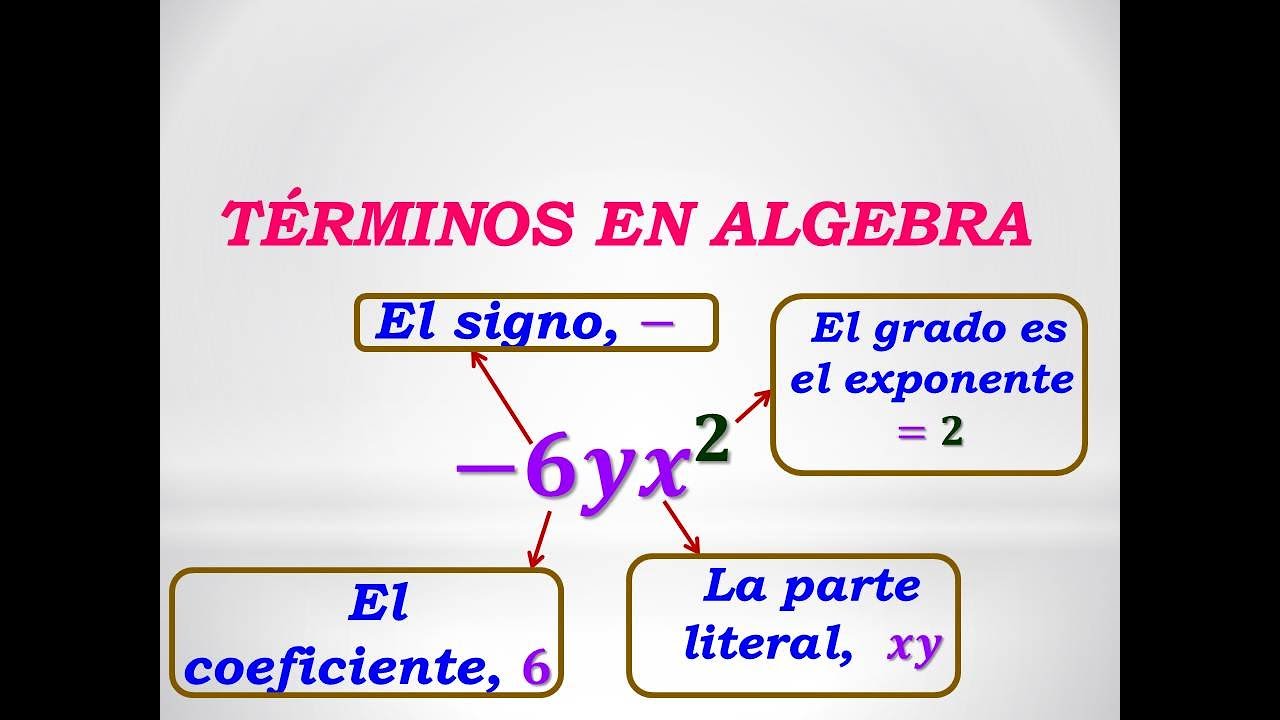 ¿QUE SON LOS TÉRMINOS EN ÁLGEBRA? - YouTube