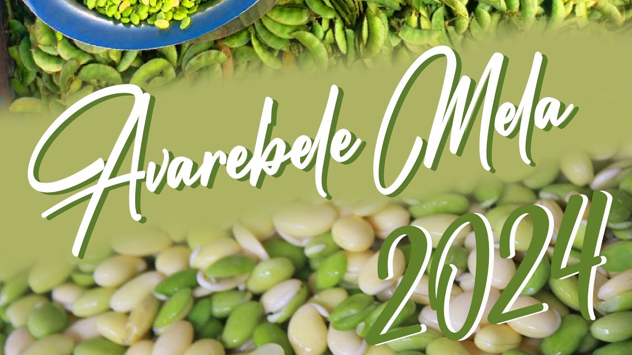 Avarebele Mela 2024 | A Feast of Flavors in Bangalore #nammabengaluru # ...
