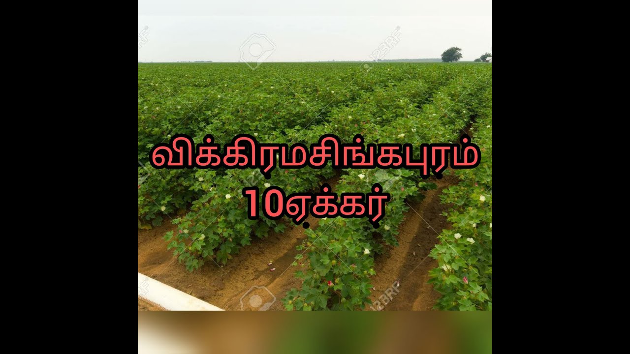 No: 13 * Agricultural land for sale* vikramasingapuram (10 acers) - YouTube