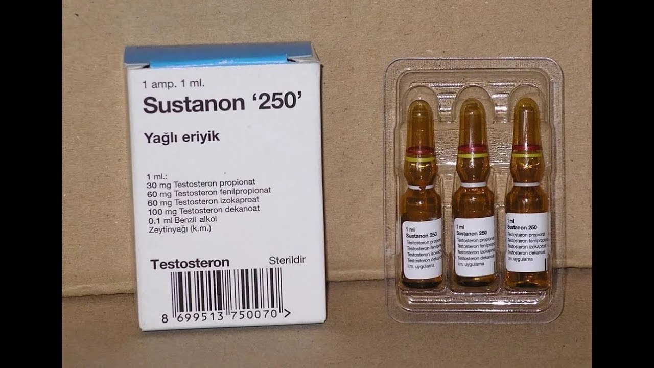 Understanding Sustanon 350: What Beginners Need to Know | 24-7.is