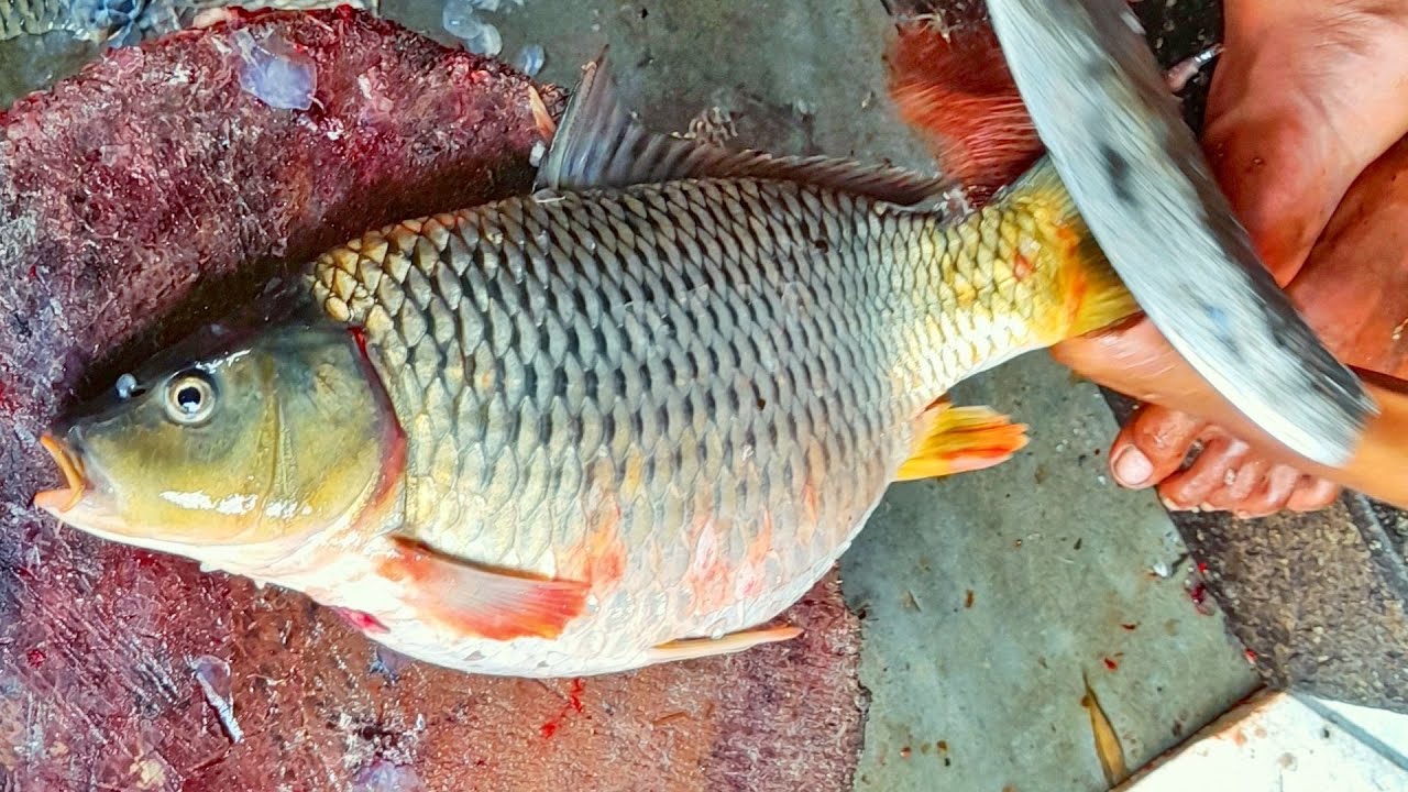 Satisfaction Carp Fish Cutting Skills In Fish Market | Carp Fish ...